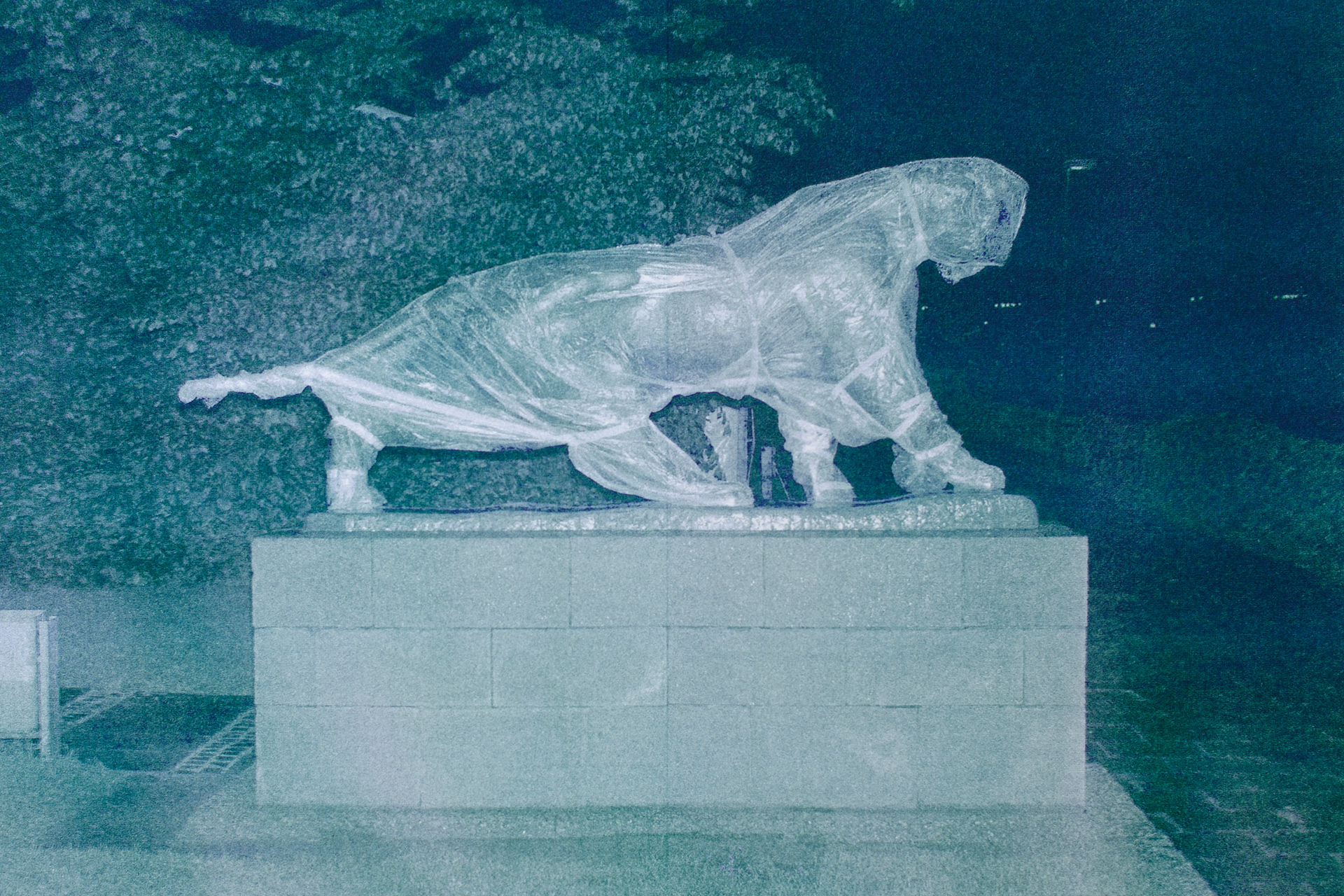 Patrick Molnar — Gestaltung - Patrick Molnar — Design & Konzeption