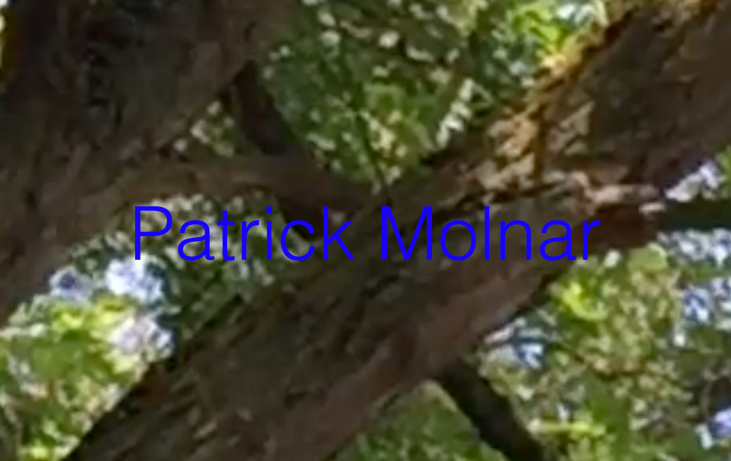 Patrick Molnar — Gestaltung